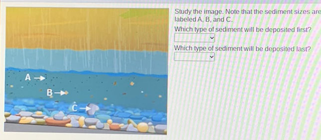 Study the image. Note that the sediment | StudyX