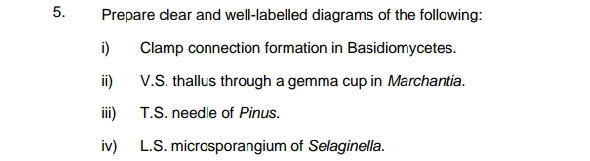 5. Prepare clear and well-labelled diagrams | StudyX