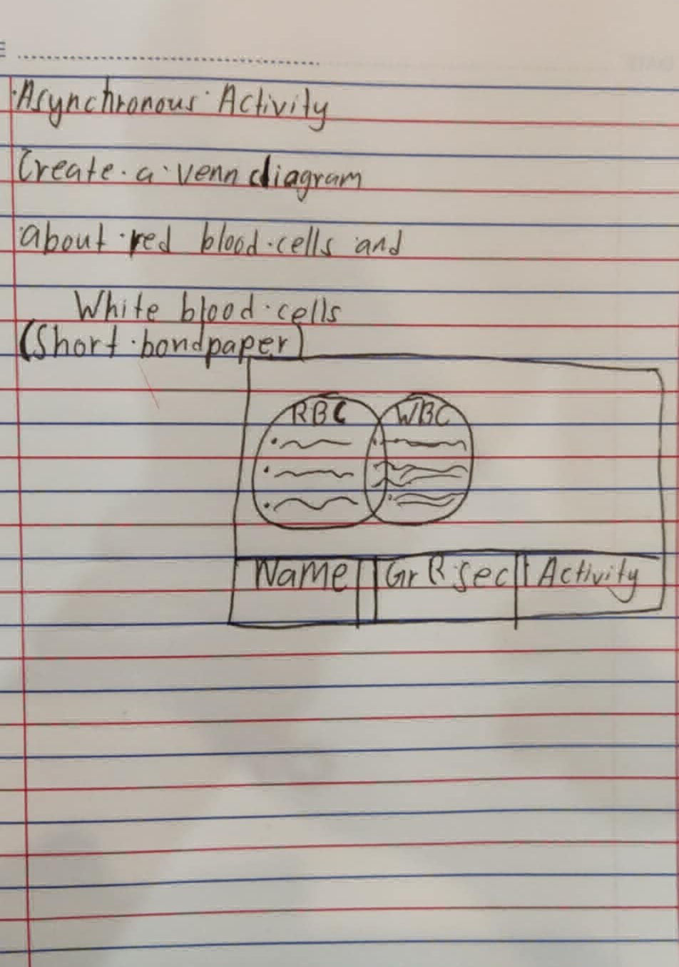 Asynchronous Activity Create a Venn diagram | StudyX