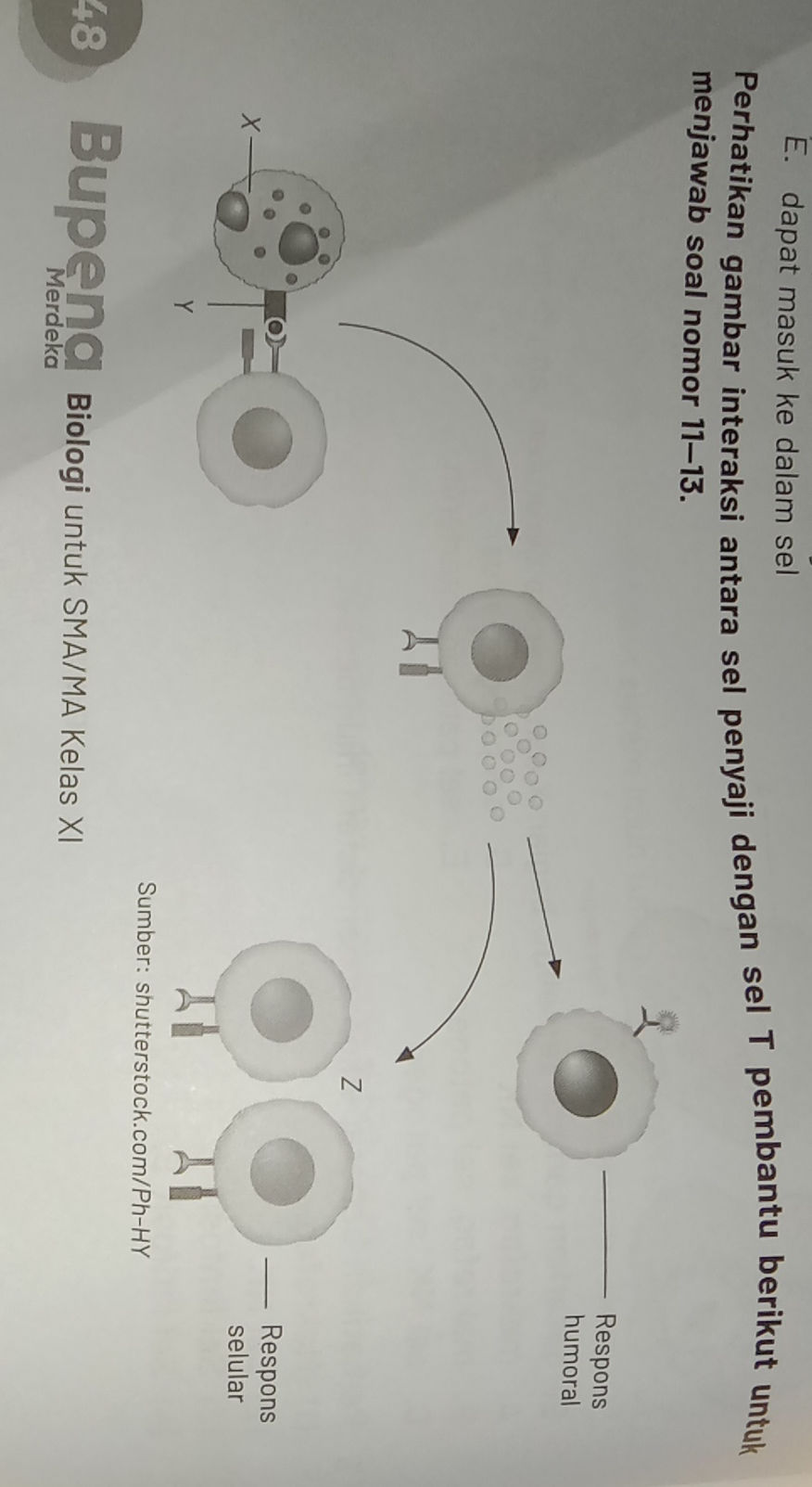 E. dapat masuk ke dalam sel Perhatikan | StudyX