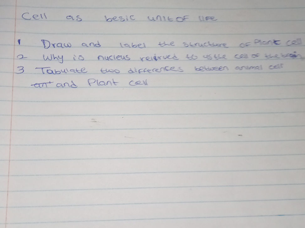 1 Draw and label the structure of Plant cell | StudyX