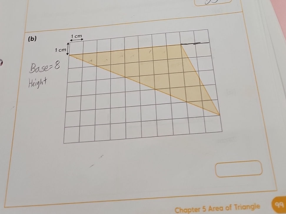 (b) Base = 8 Height The image shows a | StudyX