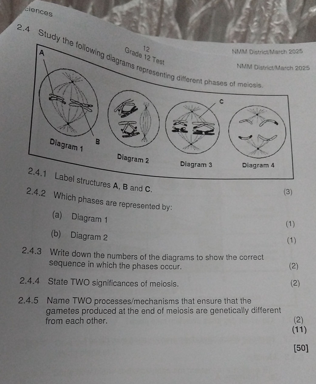 2.4 Study the following diagrams | StudyX