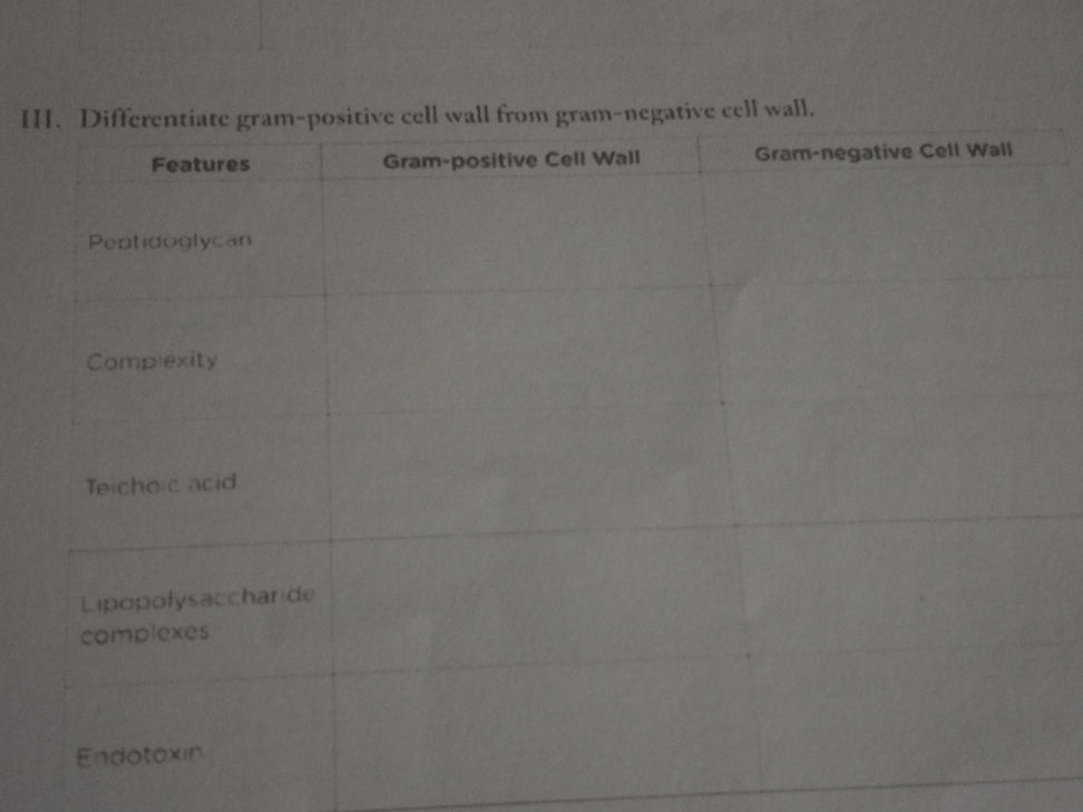 III. Differentiate gram-positive cell wall | StudyX