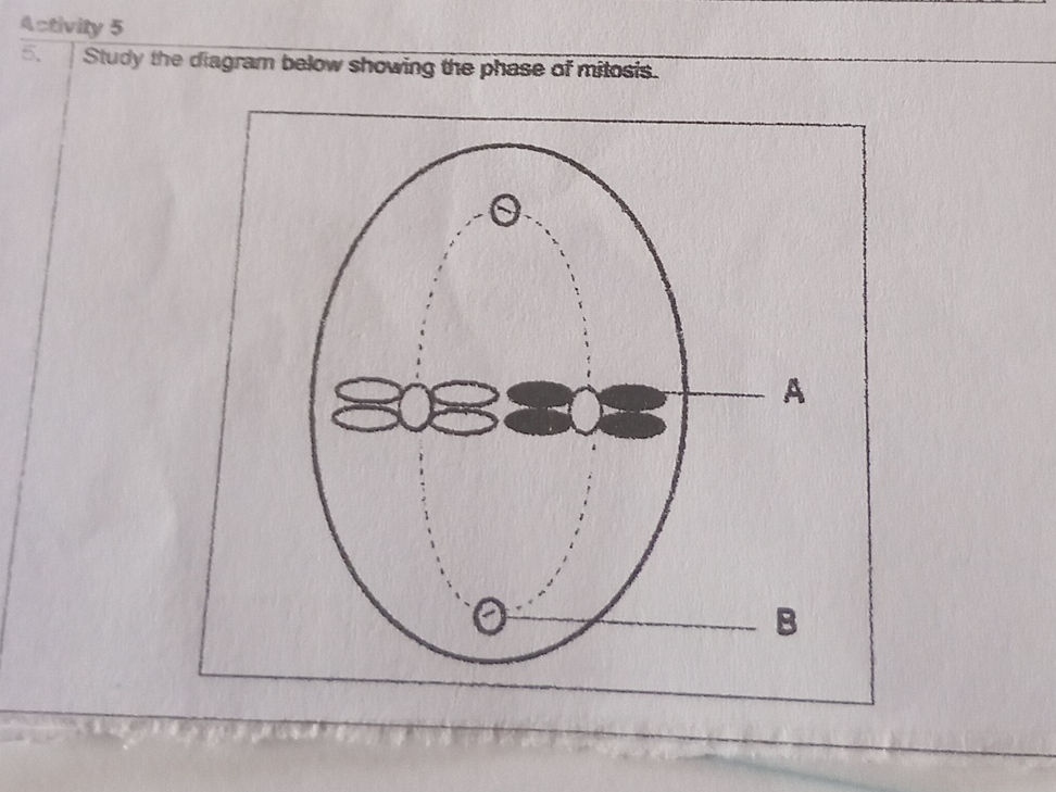 Study the diagram below showing the phase of | StudyX