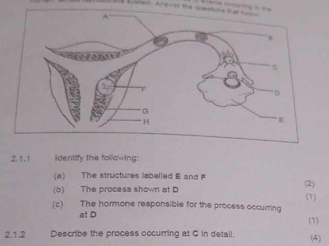 2.1.1 Identify the following: (a) The | StudyX