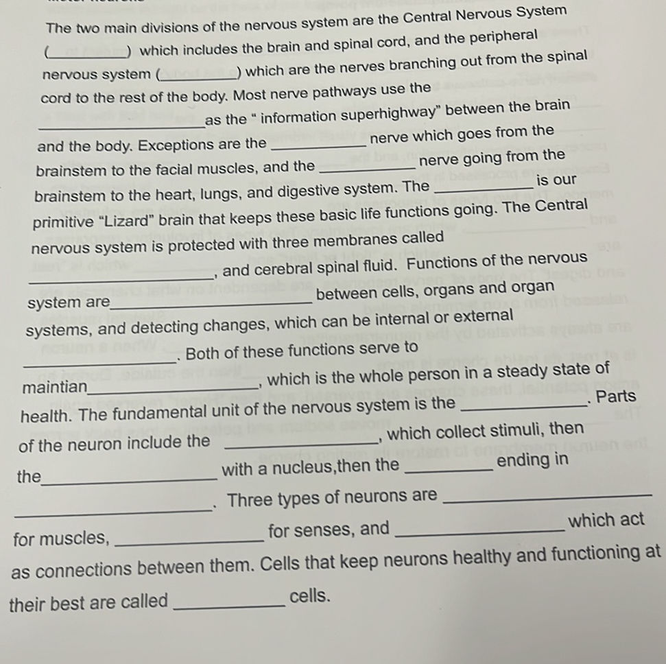 The two main divisions of the nervous system | StudyX