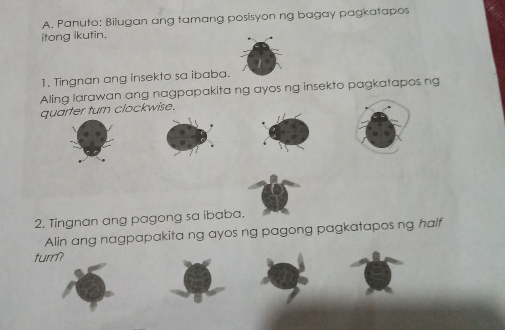 A. Panuto: Bilugan ang tamang posisyon ng | StudyX