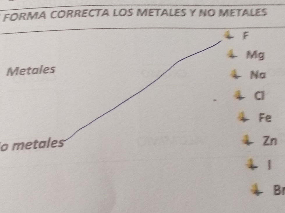 FORMA CORRECTA LOS METALES Y NO METALES | StudyX
