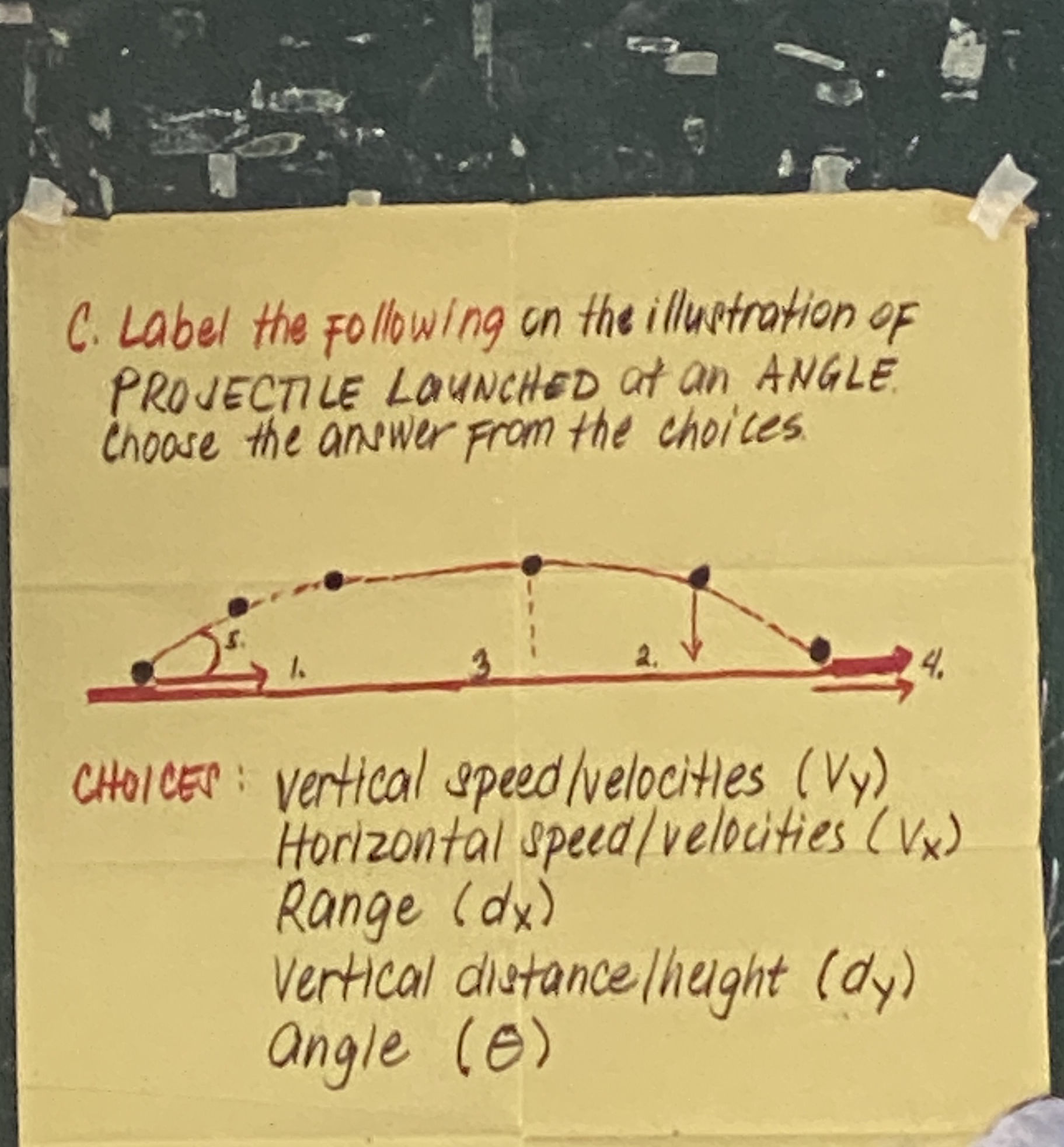 C. Label the following on the illustration | StudyX