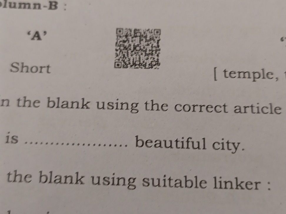 Fill in the blank using the correct article: | StudyX