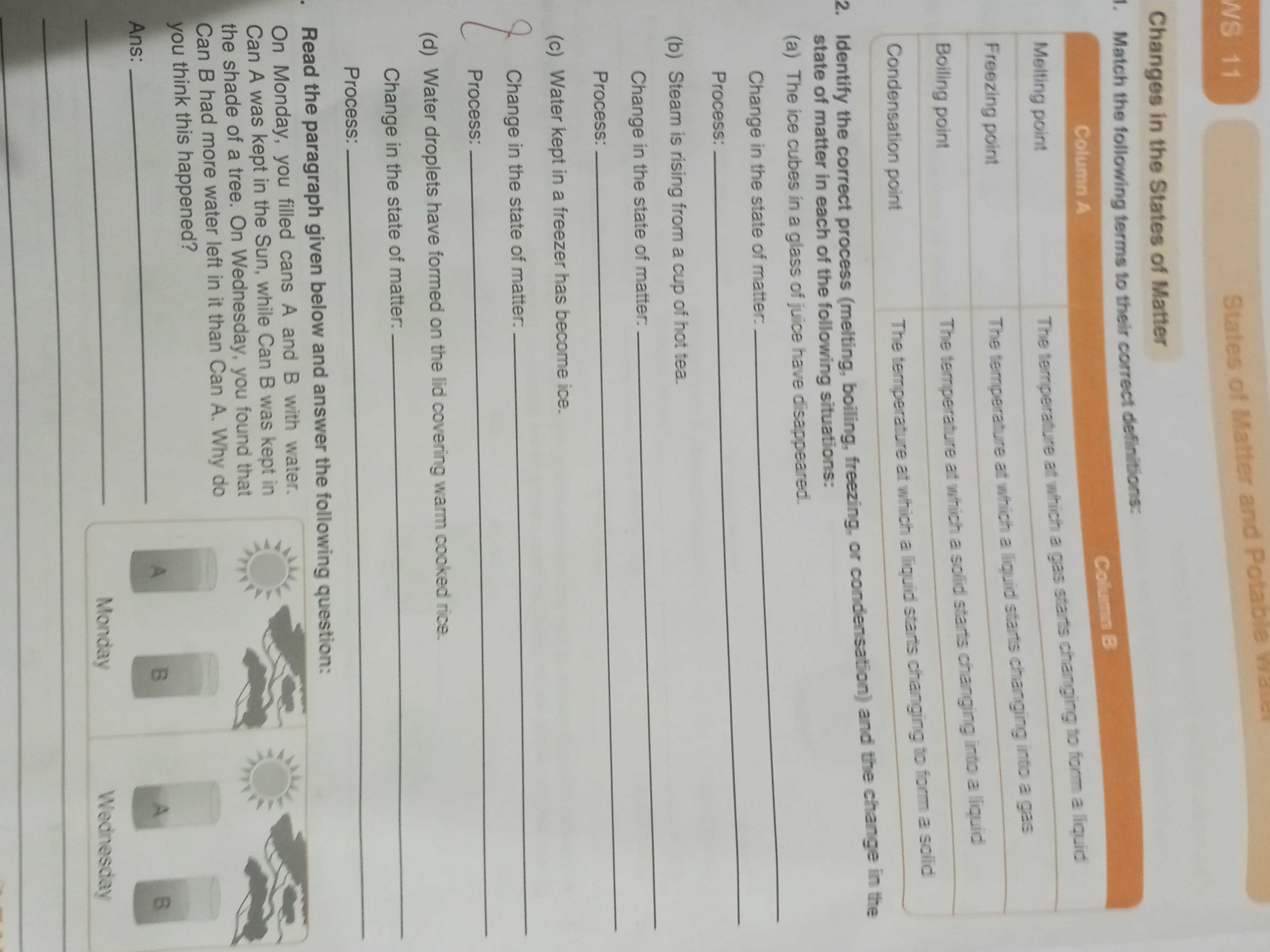 1. Match the following terms to their | StudyX