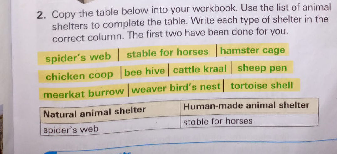 2. Copy the table below into your workbook. | StudyX