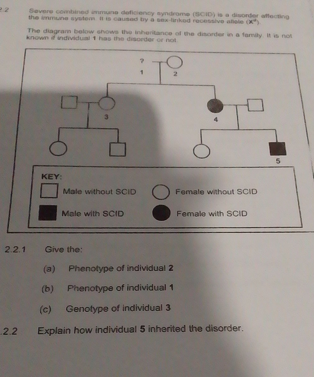 Severe combined immune deficiency syndrome | StudyX
