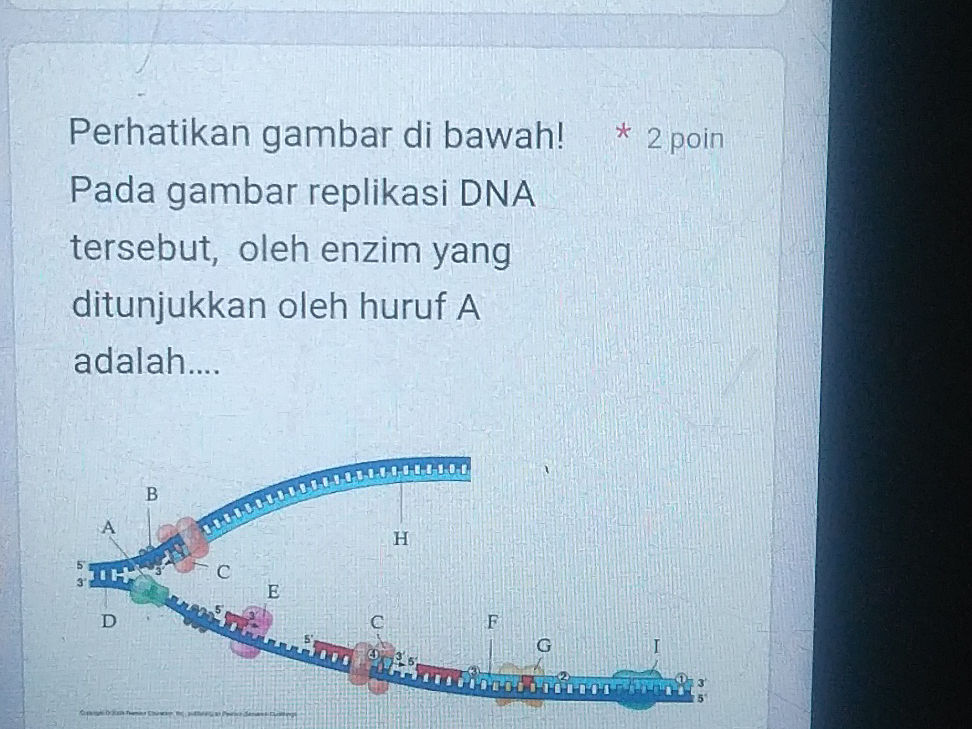 Perhatikan gambar di bawah! * 2 poin Pada | StudyX