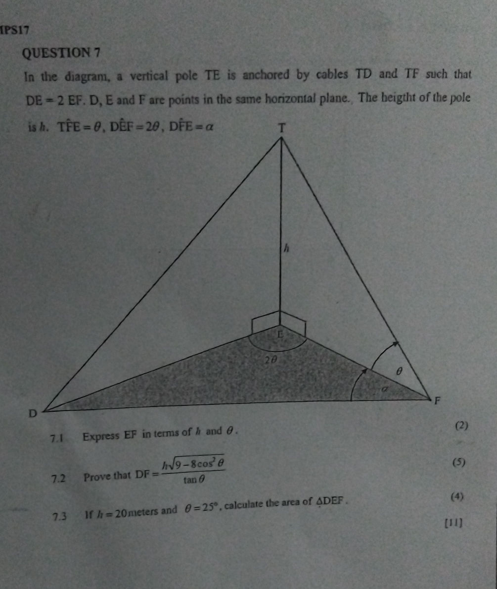 In the diagram, a vertical pole TE is | StudyX