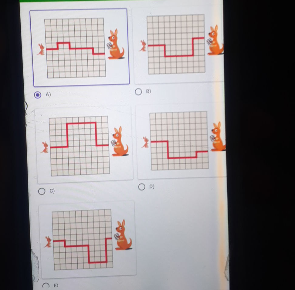 Pathfinding on a Grid - Kangaroo Problem | StudyX