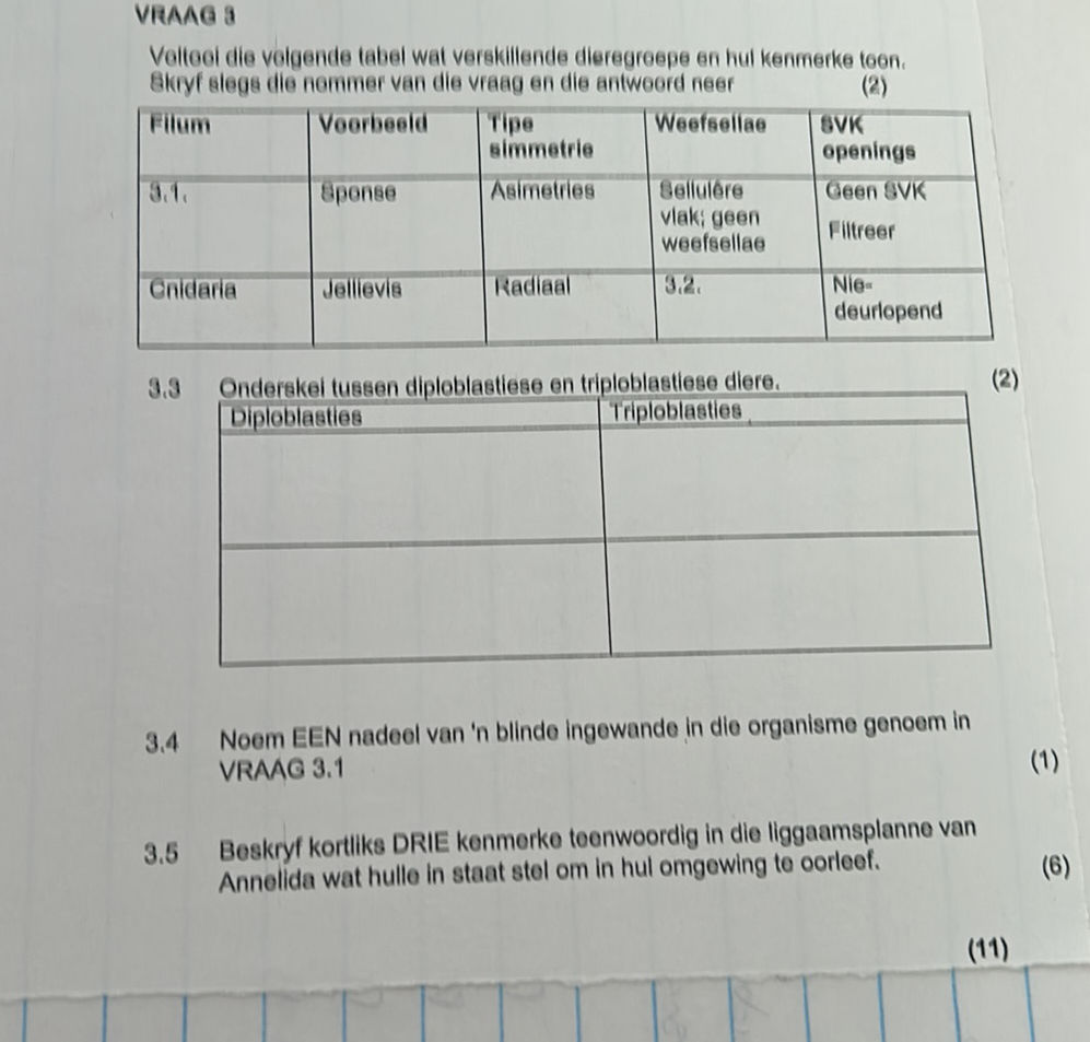 VRAAG 3 Voltooi die volgende tabel wat | StudyX