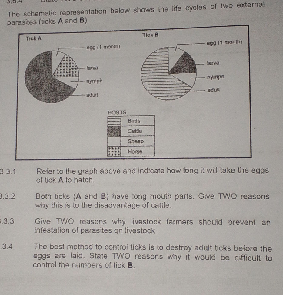 The schematic representation below shows the | StudyX