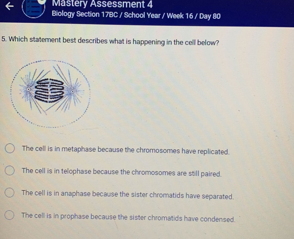 5. Which statement best describes what is | StudyX