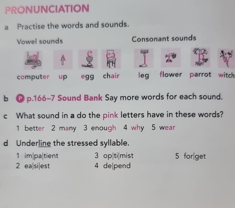 a Practise the words and sounds. Vowel | StudyX
