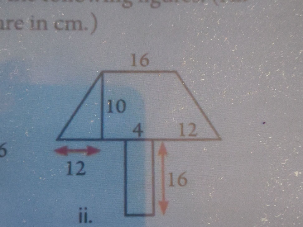 The image shows a composite figure made up | StudyX