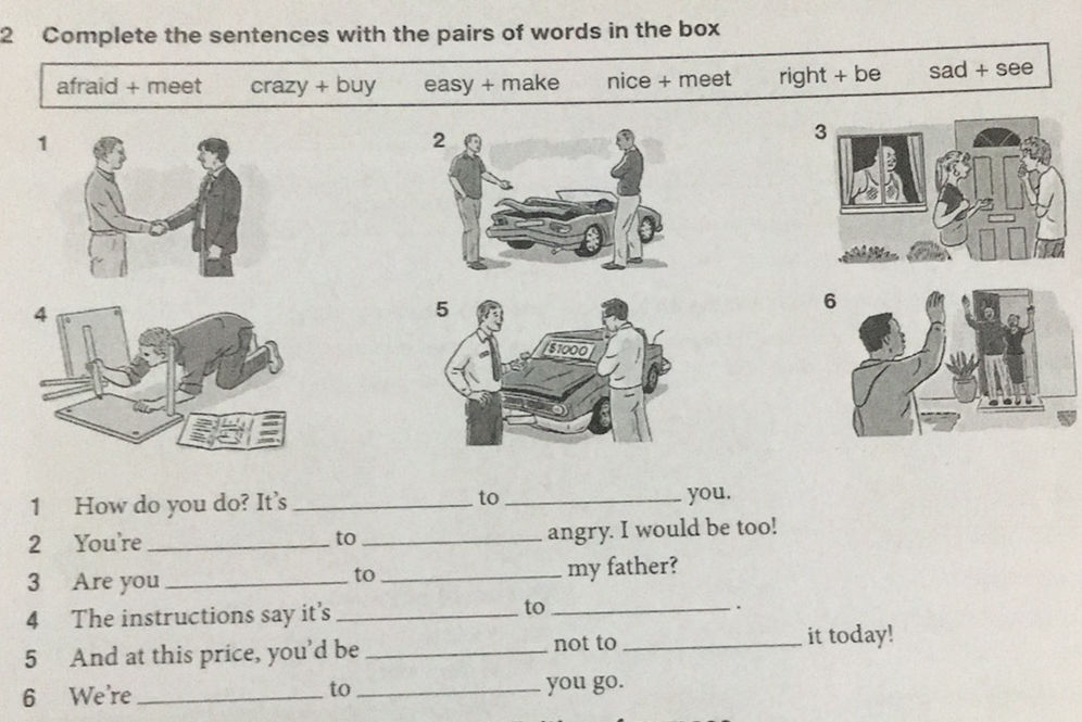 Complete the sentences with the pairs of | StudyX
