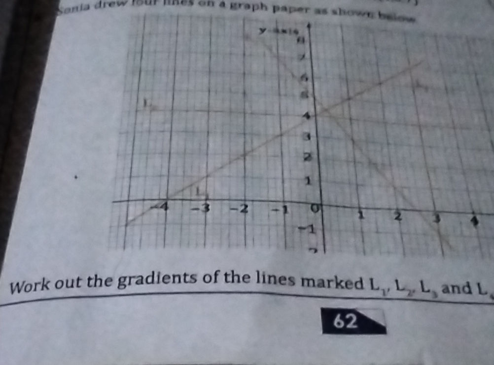 Sonia drew four lines on a graph paper as | StudyX