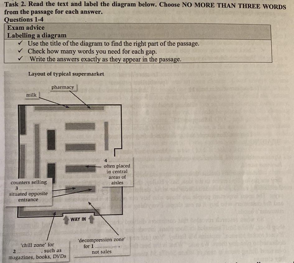 Task 2. Read the text and label the diagram | StudyX