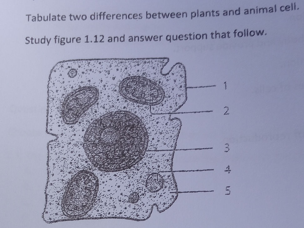 Tabulate two differences between plants and | StudyX