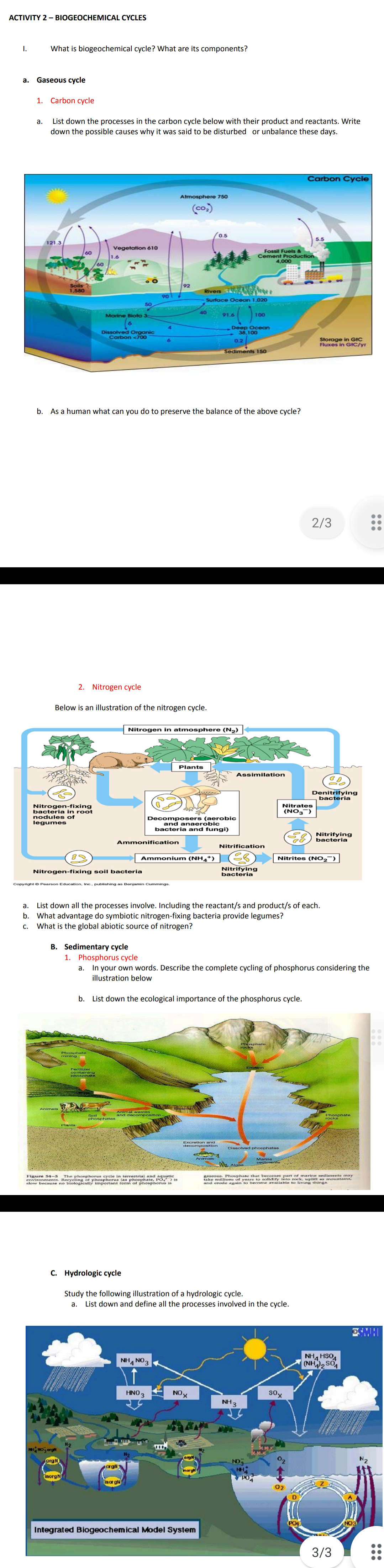 ACTIVITY 2 - BIOGEOCHEMICAL CYCLES 1. What