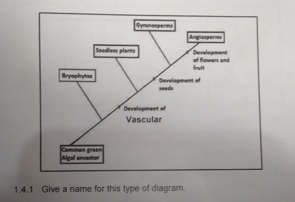 1.4.1 Give a name for this type of diagram. | StudyX