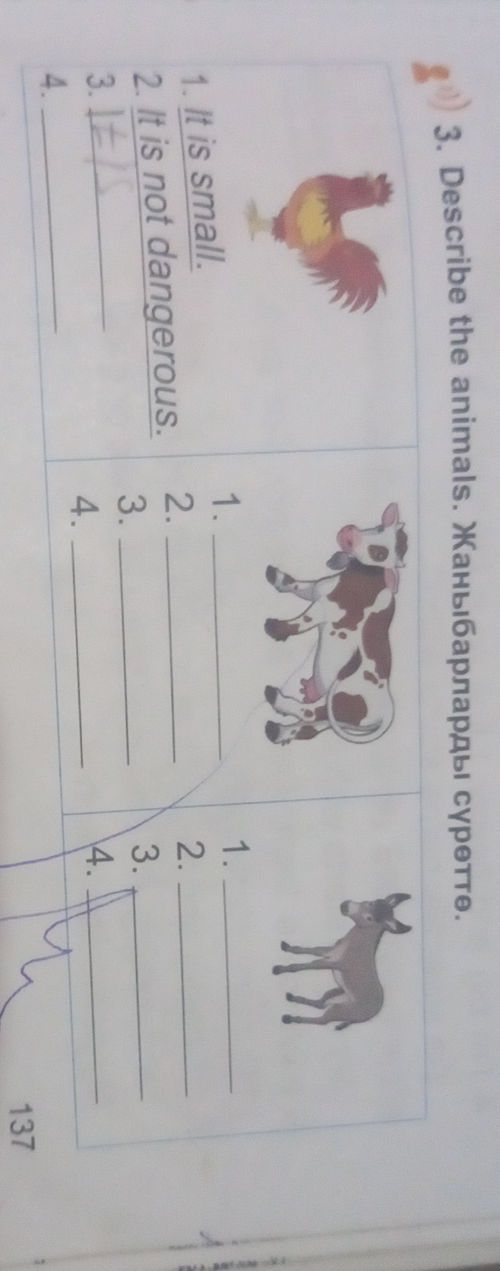 3. Describe the animals. Жаныбарларды | StudyX