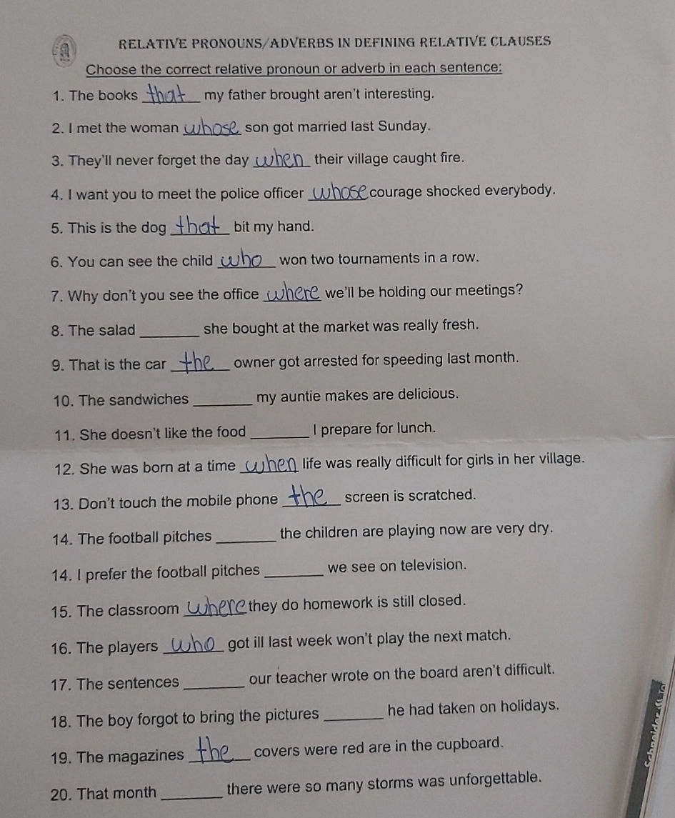 RELATIVE PRONOUNS/ADVERBS IN DEFINING | StudyX