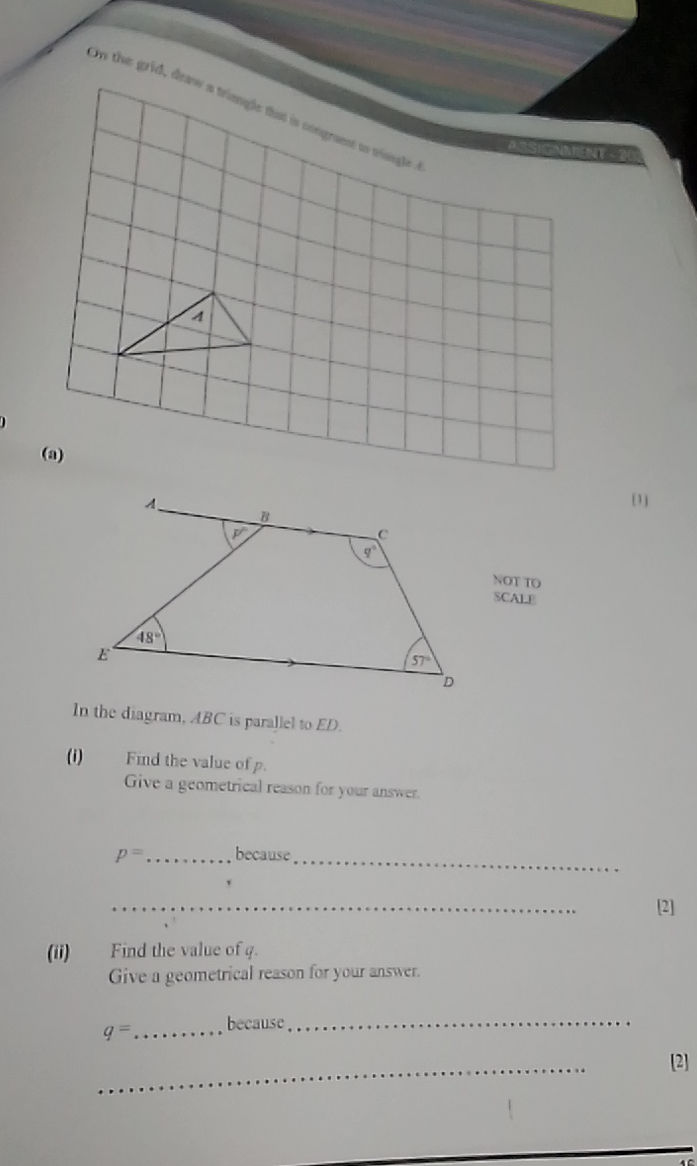 On the grid, draw a triangle that is | StudyX