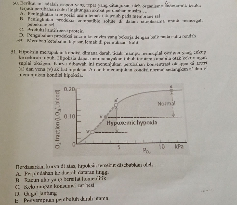 50. Berikut ini adalah respon yang tepat | StudyX
