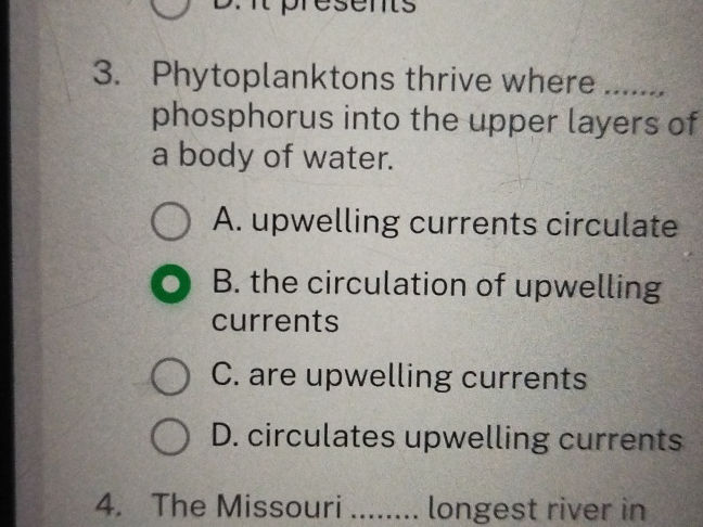 Phytoplanktons thrive where ......