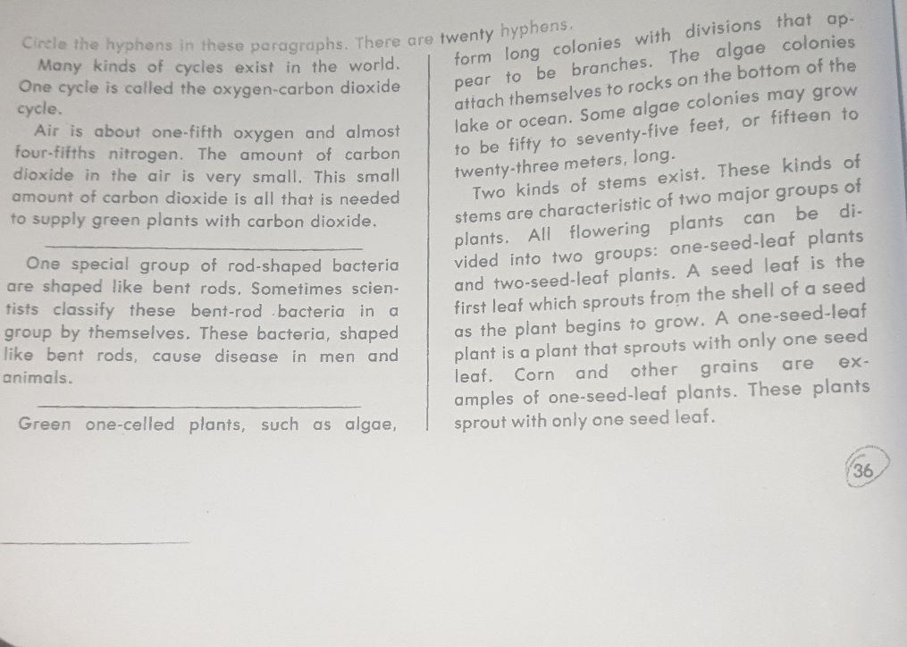 Circle the hyphens in these paragraphs. | StudyX