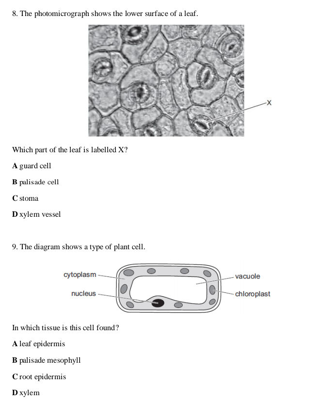 8. The photomicrograph shows the lower | StudyX