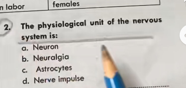 2. The physiological unit of the nervous | StudyX
