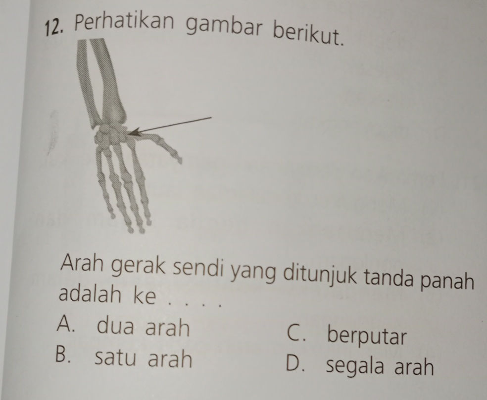 12. Perhatikan gambar berikut. Arah gerak | StudyX