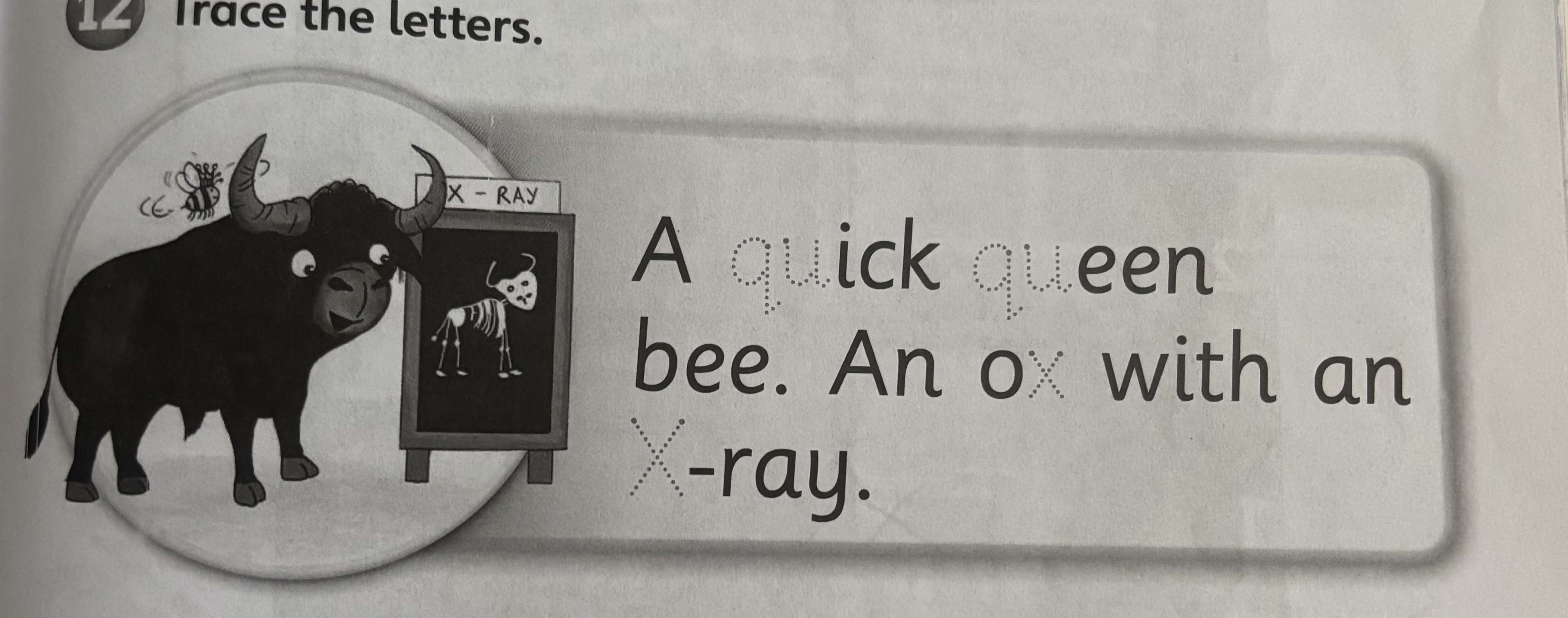 Trace the letters. A quick queen bee. An ox | StudyX