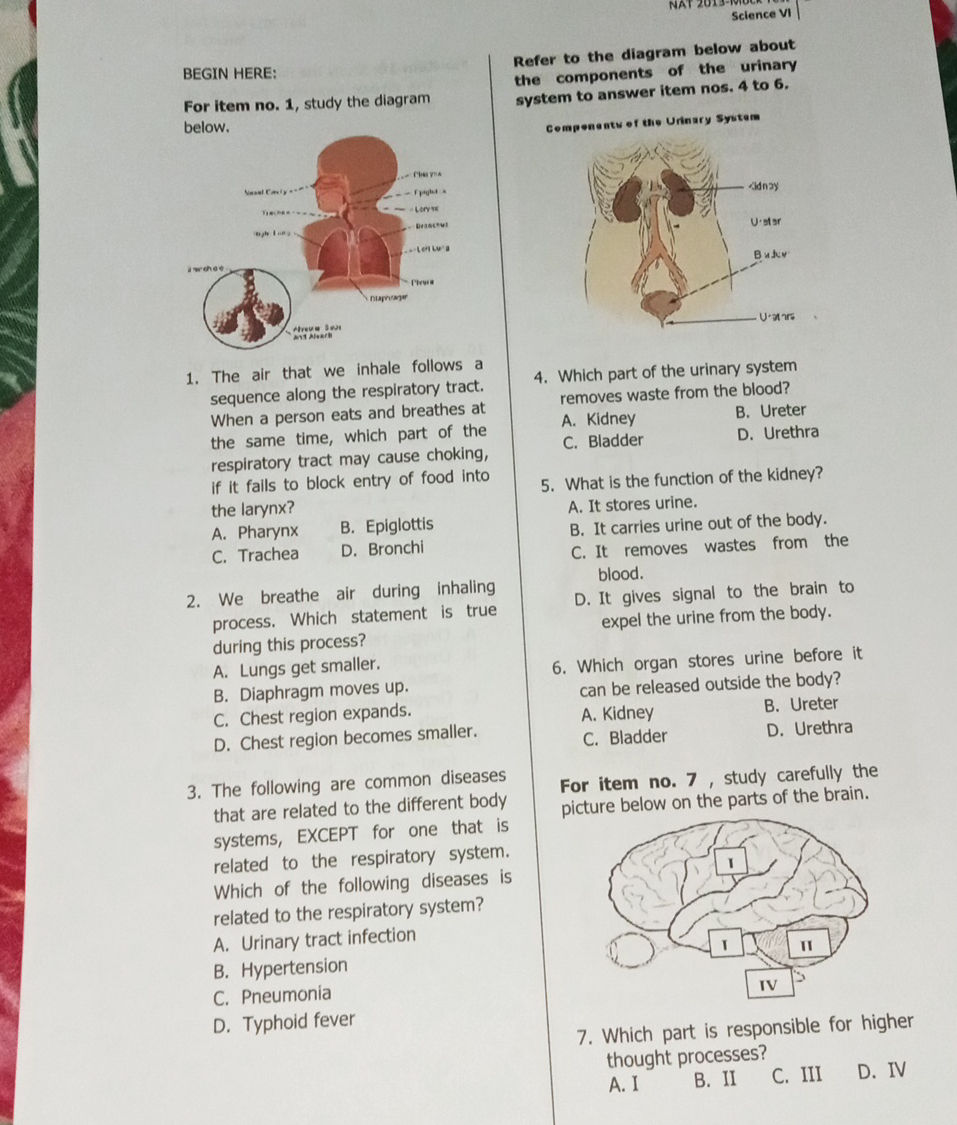 1. The air that we inhale follows a sequence | StudyX