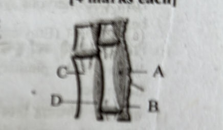 The image shows a diagram with labels A, B, | StudyX