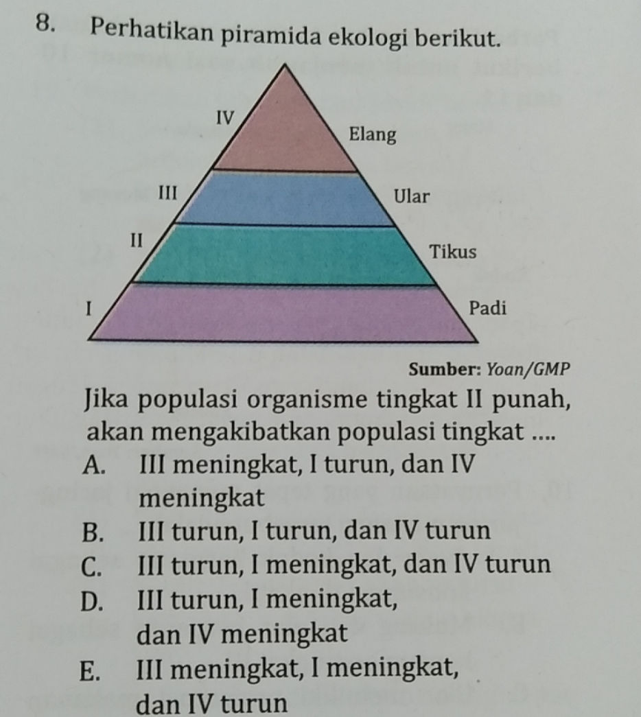 8. Perhatikan piramida ekologi berikut. ``` | StudyX