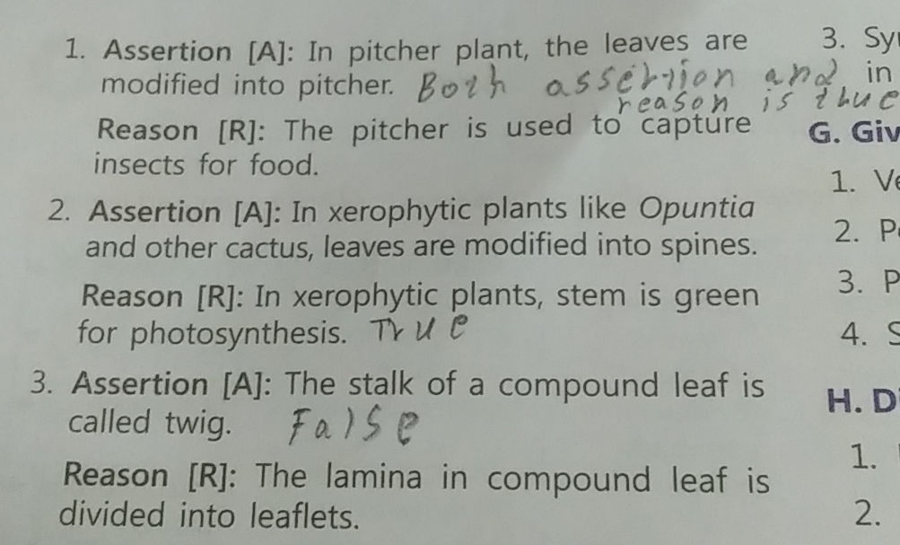 1. Assertion [A]: In pitcher plant, the | StudyX