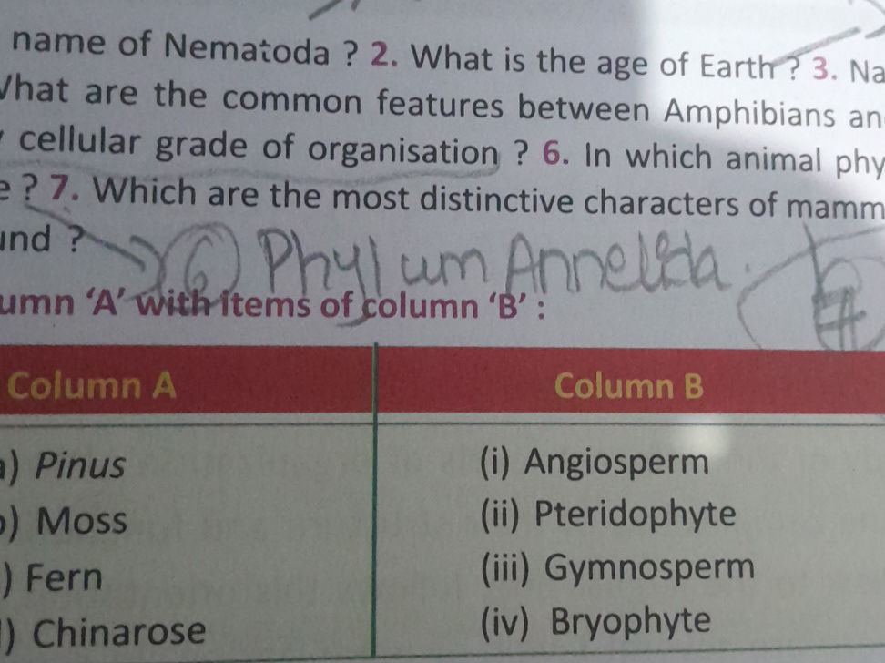 Match Column 'A' with items of column 'B': | StudyX
