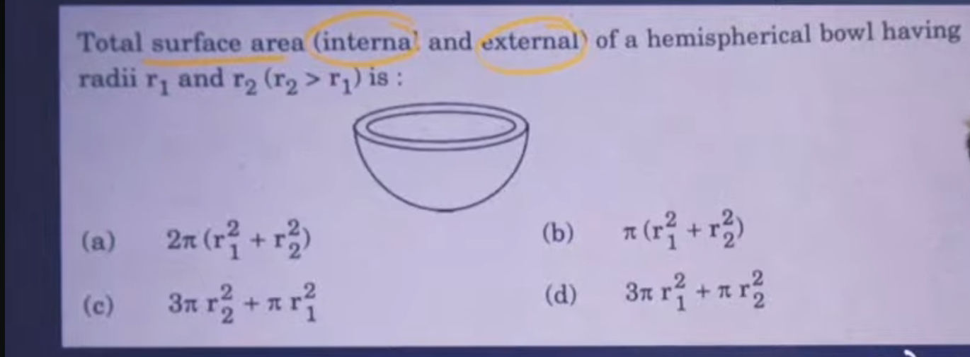 Total surface area (internal and external) | StudyX