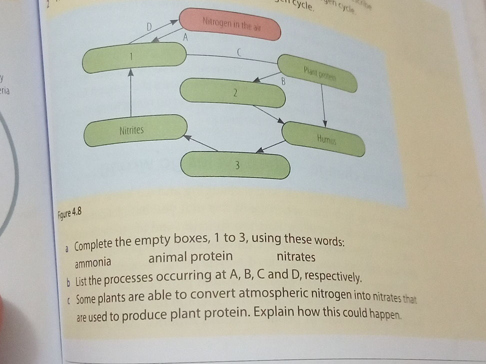 a Complete the empty boxes, 1 to 3, using | StudyX