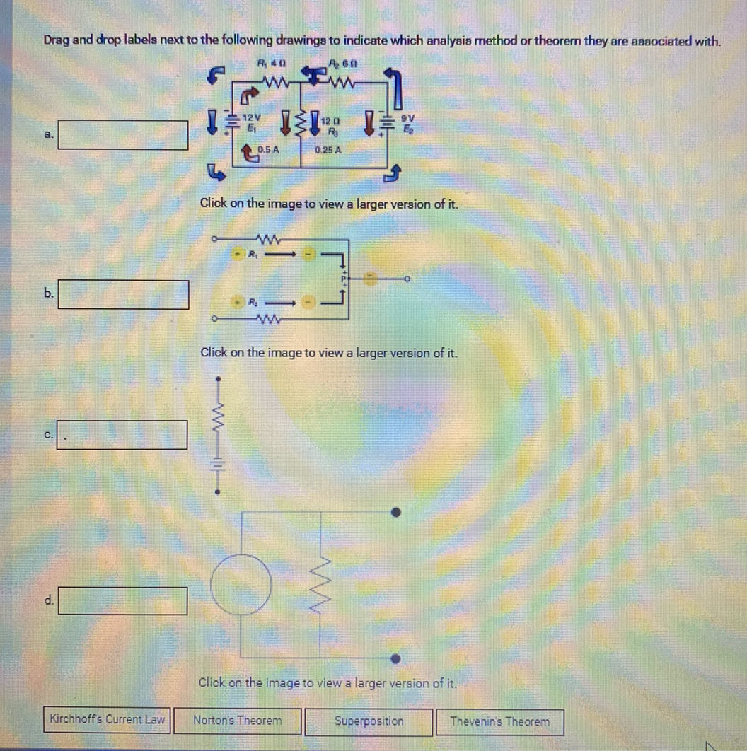 Drag and drop labels next to the following | StudyX